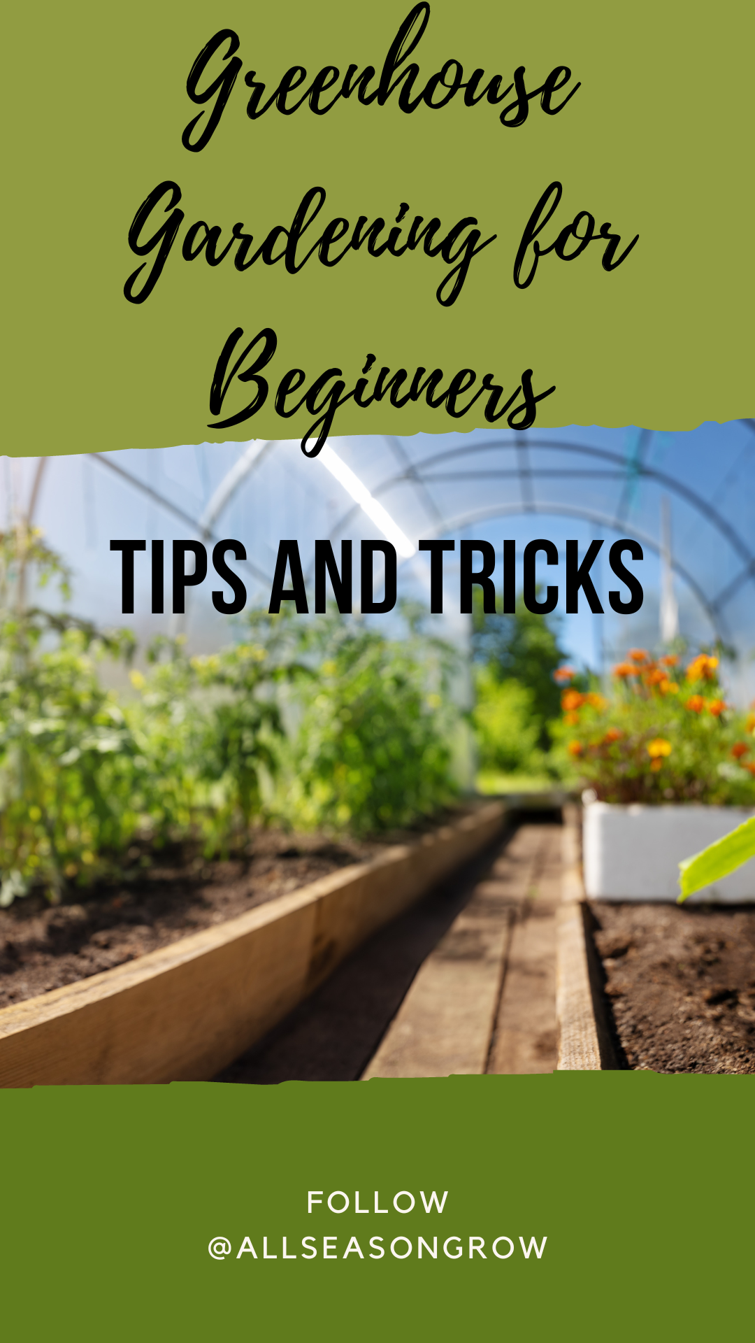 Greenhouse Gardening for Beginners - All Season Grow
